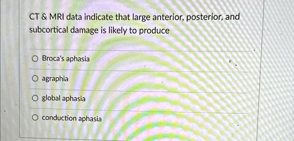 CT MRI data indicate that large anterior, posterior, and subcortical ...