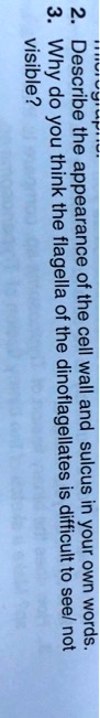 SOLVED: "€ 1 Why do Describe 23 think the appearance flagella the 8 2 ...