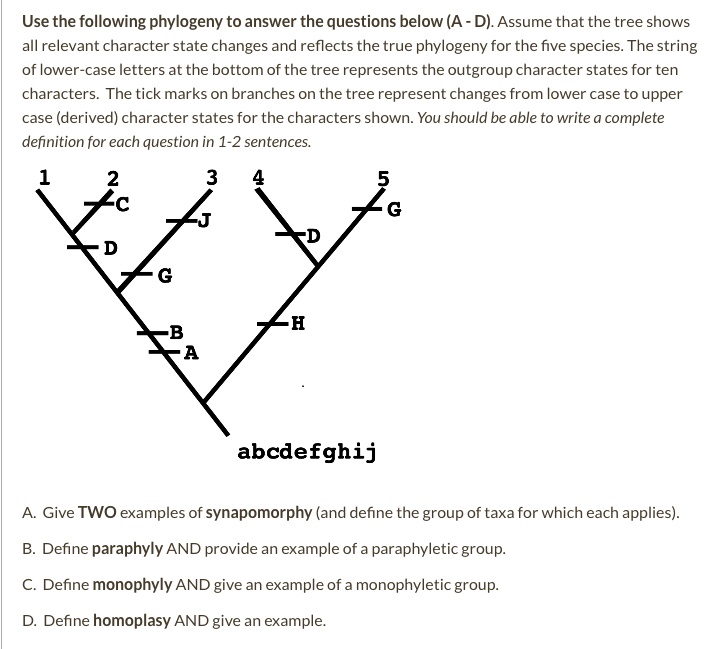 use the following phylogeny to answer the questions below a d assume ...
