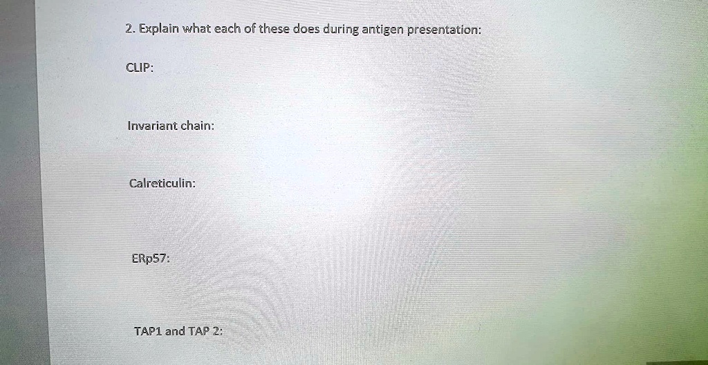 SOLVED: 2. Explain what each of these does during antigen presentation ...