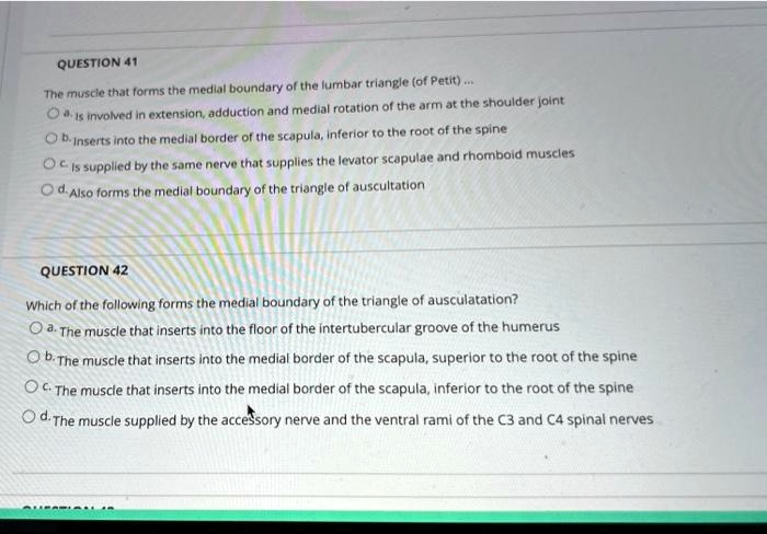 SOLVED: QUESTION41 The muscle that forms the medial boundary of the ...