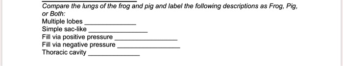 SOLVED: Compare the lungs of the frog and pig and label the following ...