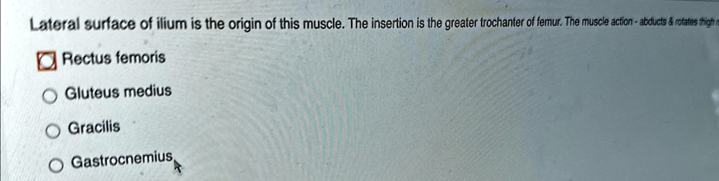 Lateral surface of ilium is the origin of this muscle. The insertion is ...