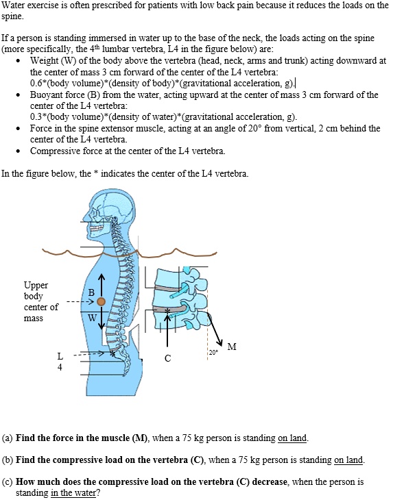 water exercise is often prescribed for patients with low back pain ...