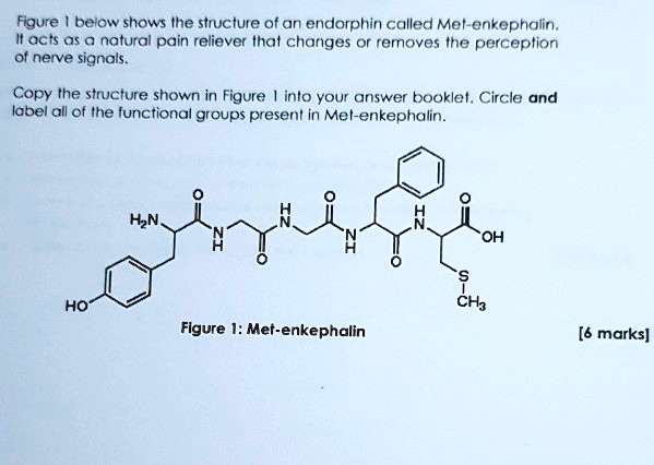 SOLVED: The figure below shows the structure of an endorphin called Met ...