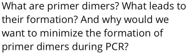 SOLVED: What are primer dimers? What leads to their formation? And why ...