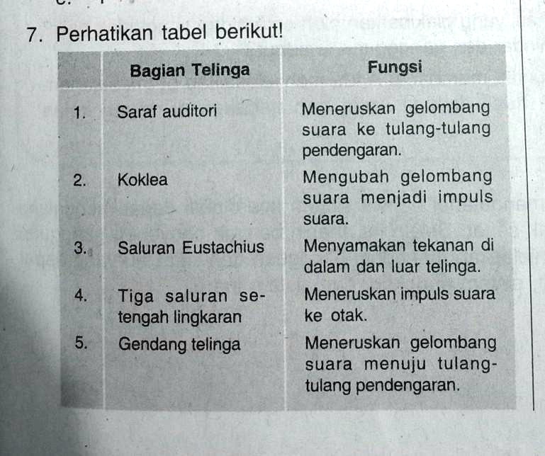 SOLVED: bagian telinga yang sesuai dengan fungsinya terdapat pada angka ...