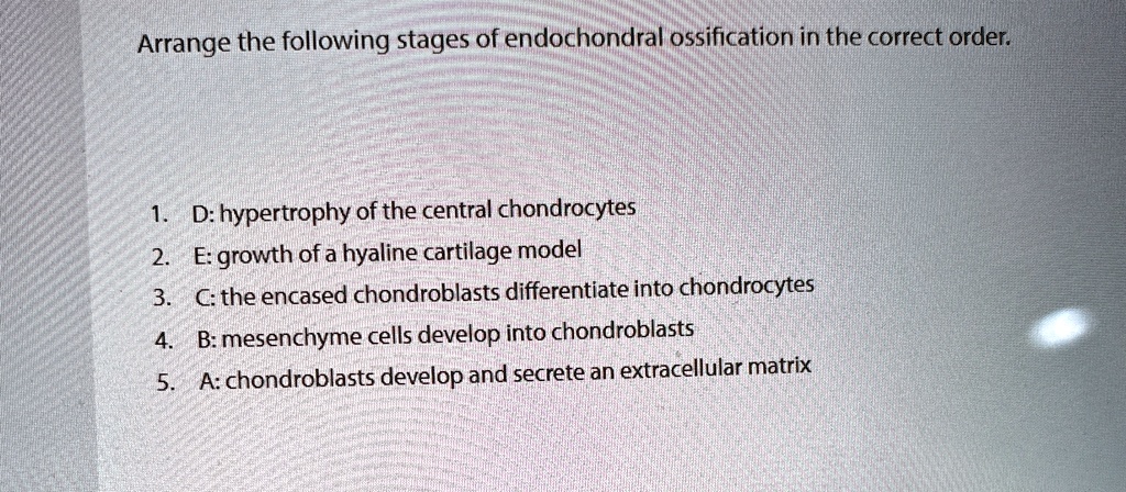 Arrange the following stages of endochondral ossification in the ...