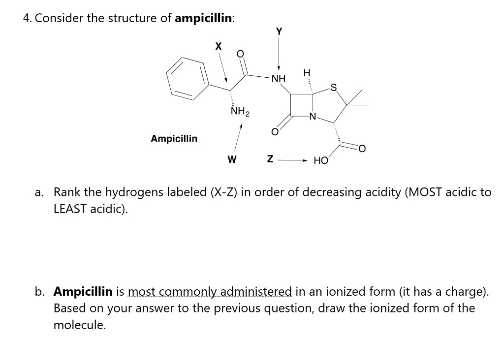 SOLVED: Consider the structure of ampicillin: NH2 NH2 Ampicillin W HO ...
