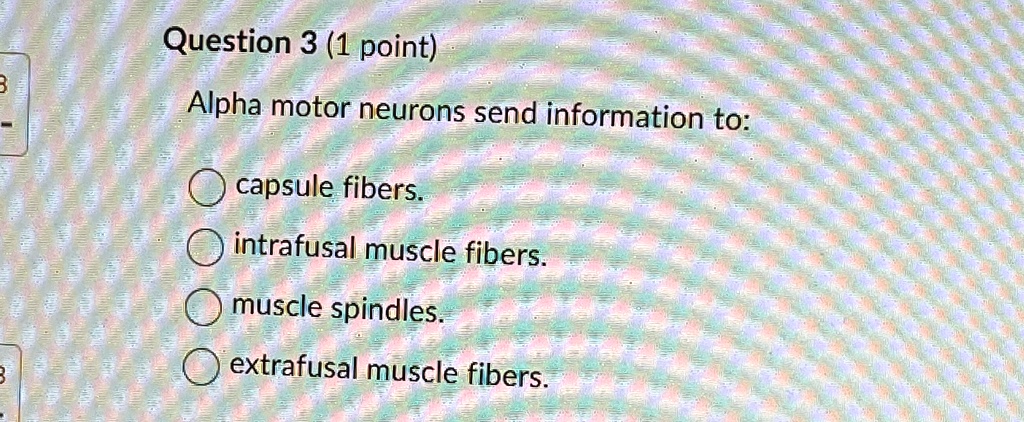 Question 3 (1 point) Alpha motor neurons send information to: capsule ...