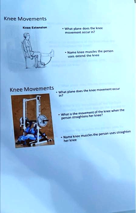 Knee Movements Knee Extension • What plane does the knee movement occur ...