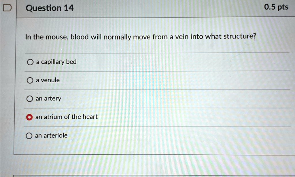 Question 14 In the mouse, blood will normally move from a vein into ...