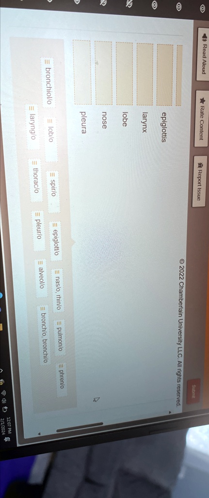 epiglottis larynx lobe nose pleura = bronchiol/o = lob/o = spir/o ...