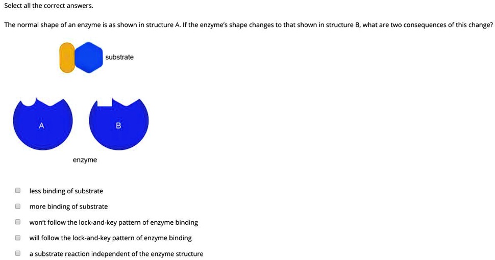 SOLVED: Select all the correct answers. The normal shape of an enzyme is as shown in structure A ...