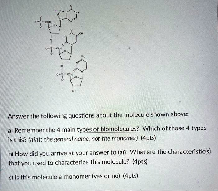 answer the following questions about the molecule shown above a ...