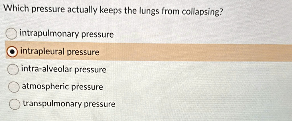 Which pressure actually keeps the lungs from collapsing? intrapulmonary ...
