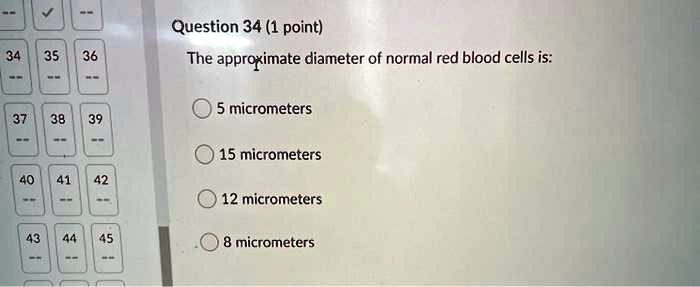 SOLVED: Question 34 (1 point) The approximate diameter of normal red ...