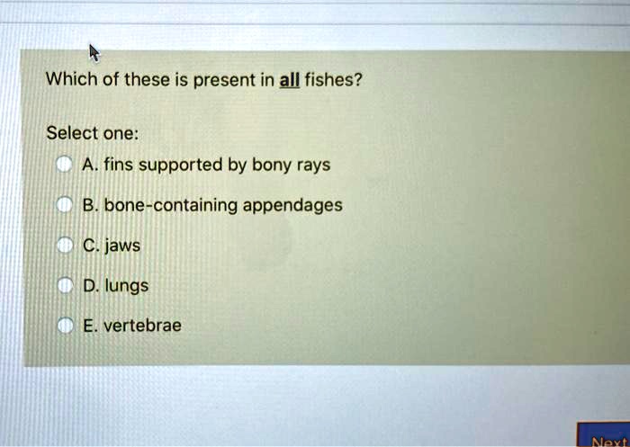 SOLVED: Which of these is present in all fishes? Select one: A. fins ...