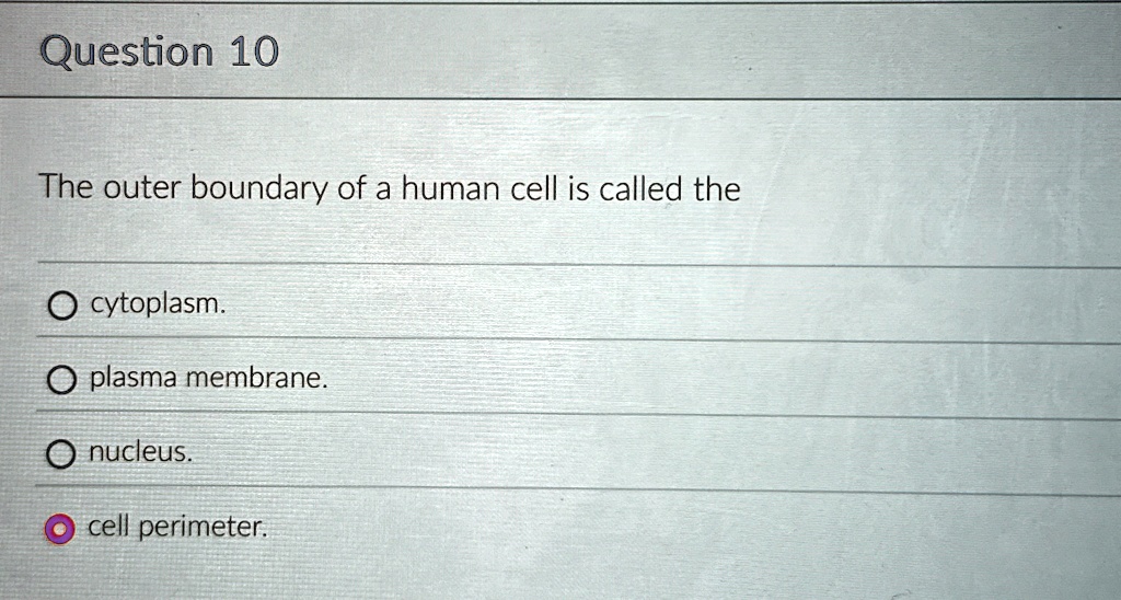 question 10 the outer boundary of a human cell is called the o ...