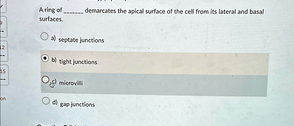 SOLVED: A ring of demarcates the apical surface of the cell from its ...