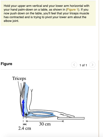 hold your upper arm vertical and your lower arm horizontal with your hand palm down on table as ...