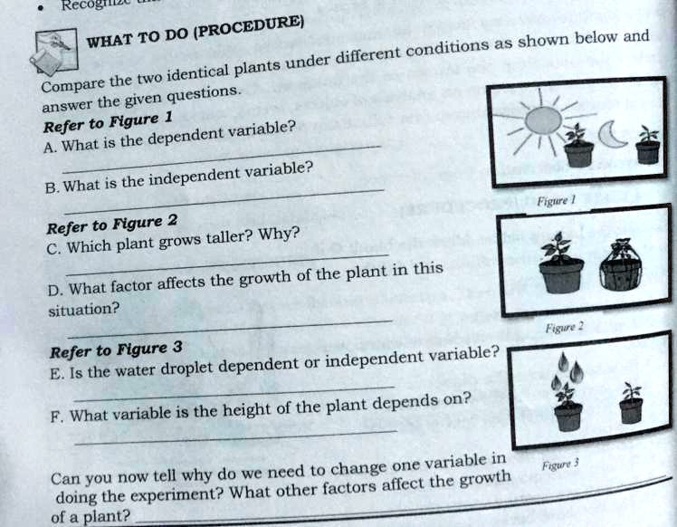 WHAT TO DO (PROCEDURE) Compare the two identical plants under different ...