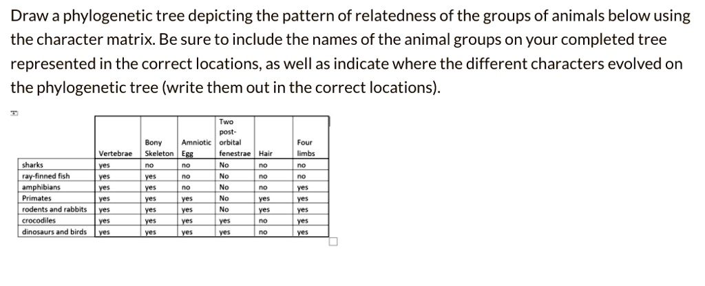 Draw a phylogenetic tree depicting the pattern of relatedness of the ...