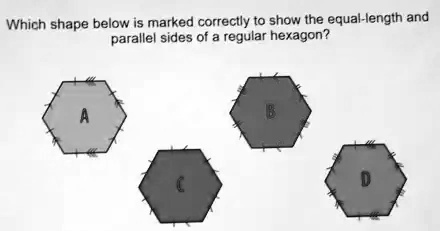 which shape below is marked correclly to show the equal length and ...