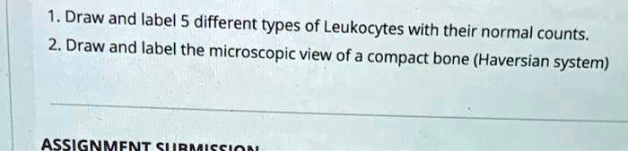 SOLVED: 1. Draw and label 5 different types of Leukocytes with their ...