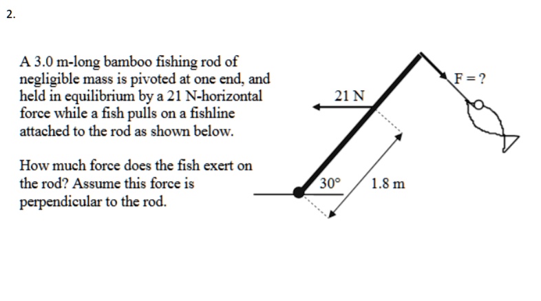 a30 m long bamboo fishing rod of negligible mass is pivoted at one end ...