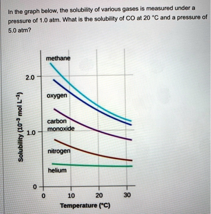 in the graph below the solubility of various gases is measured under a ...