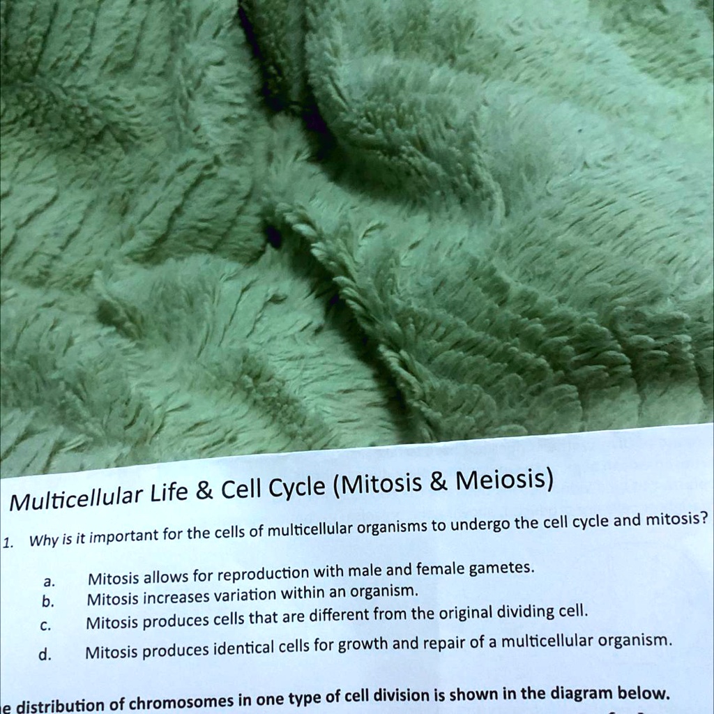 SOLVED: 'i need the answer please Multicellular Life & Cell cycle ...