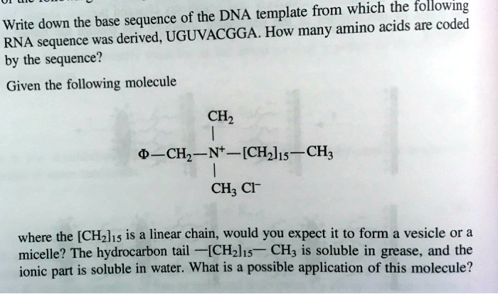 SOLVED: Write down the base sequence of the DNA template from which the following amino acids ...
