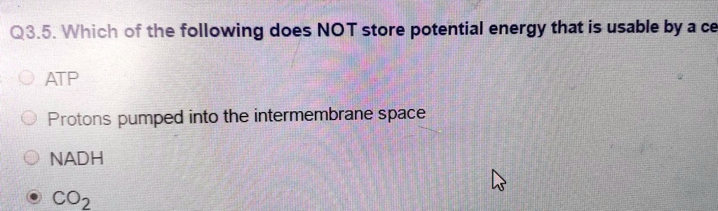 Q3.5. Which of the following does NOT store potential energy that is ...