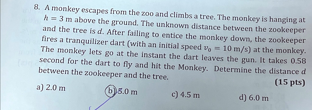 8. A monkey escapes from the zoo and climbs a tree. The monkey is ...