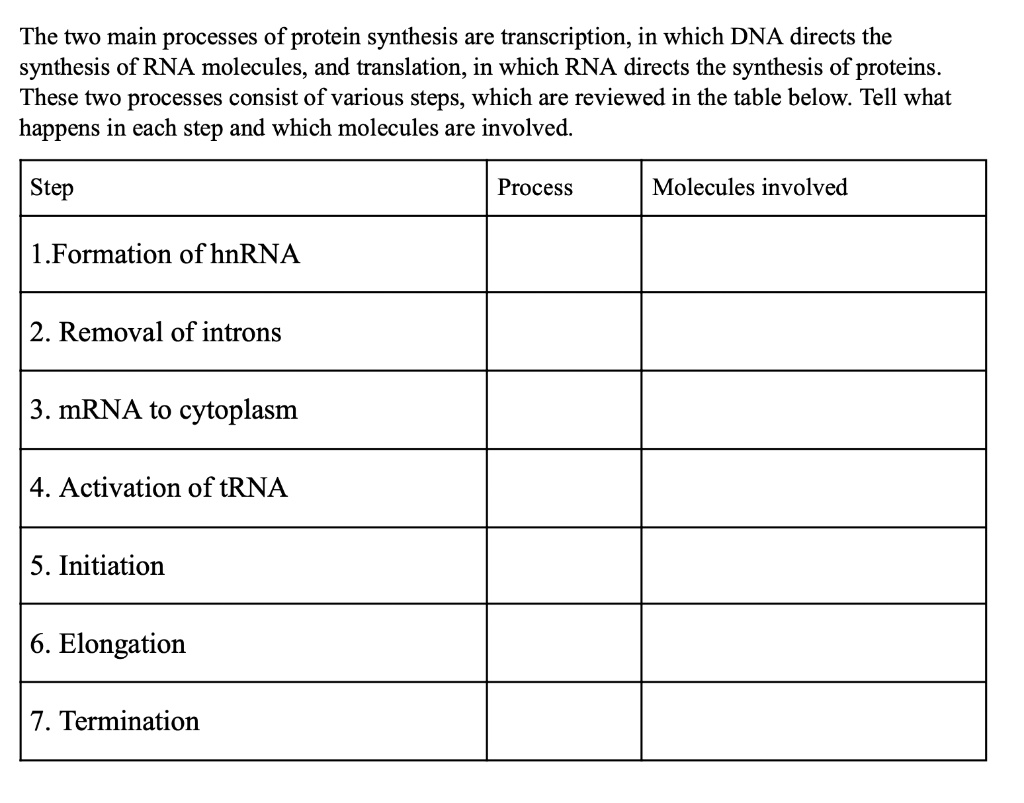 SOLVED: The two main processes of protein synthesis are transcription ...