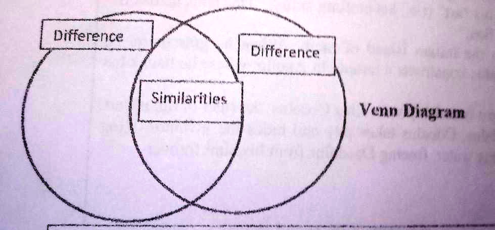SOLVED: 'difference and similarities about graphic organizer'