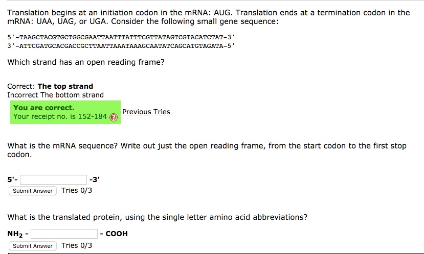 SOLVED: Translation begins at an initiation codon in the mRNA: AUG. Translation ends at a ...