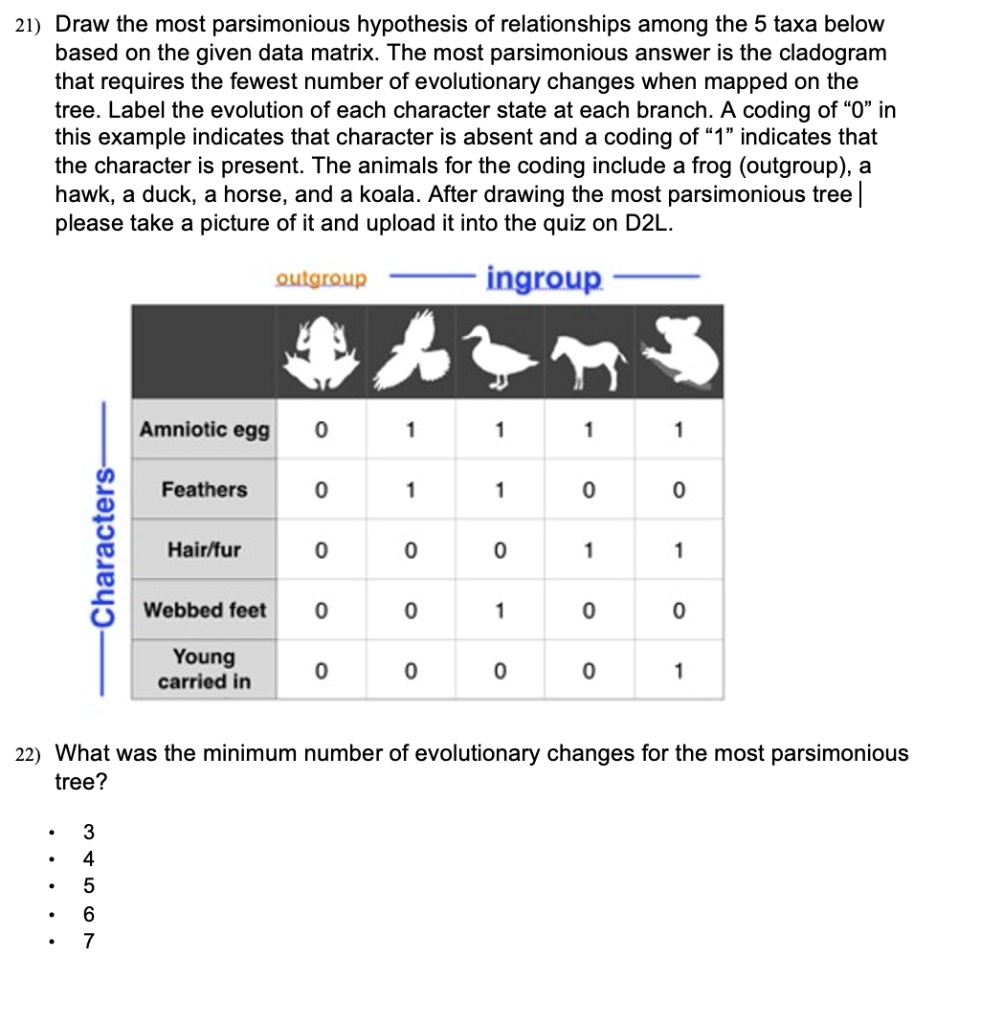 SOLVED: 21) Draw the most parsimonious hypothesis of relationships among the 5 taxa below based ...
