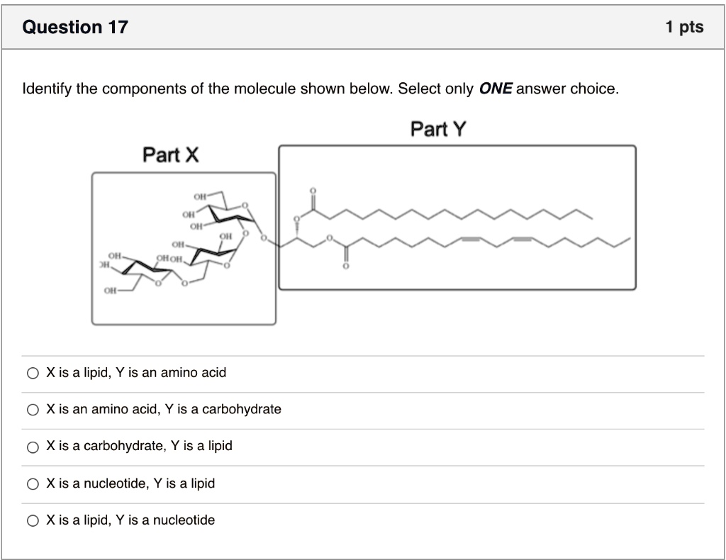SOLVED: Question 17 1 pts Identify the components of the molecule shown ...