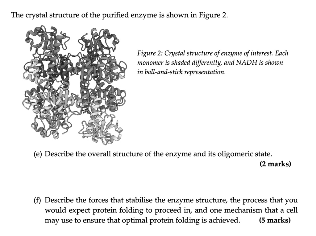 SOLVED: The crystal structure of the purified enzyme is shown in Figure ...