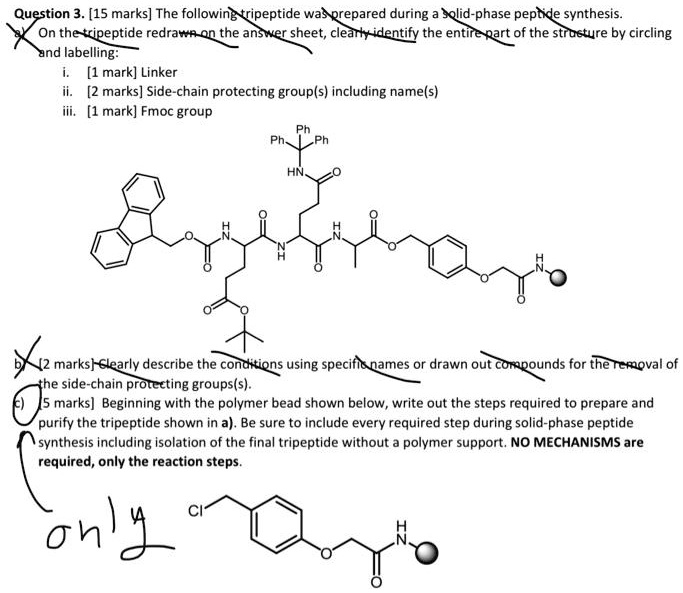 Question 3. [15 marks] The following tripeptide was prepared during ...