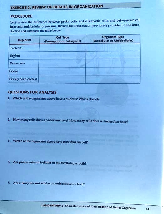 SOLVED:EXERCISE 2. REVIEw Qe DETAILS IN ORGANIZATION PROCEDURE Leta ...