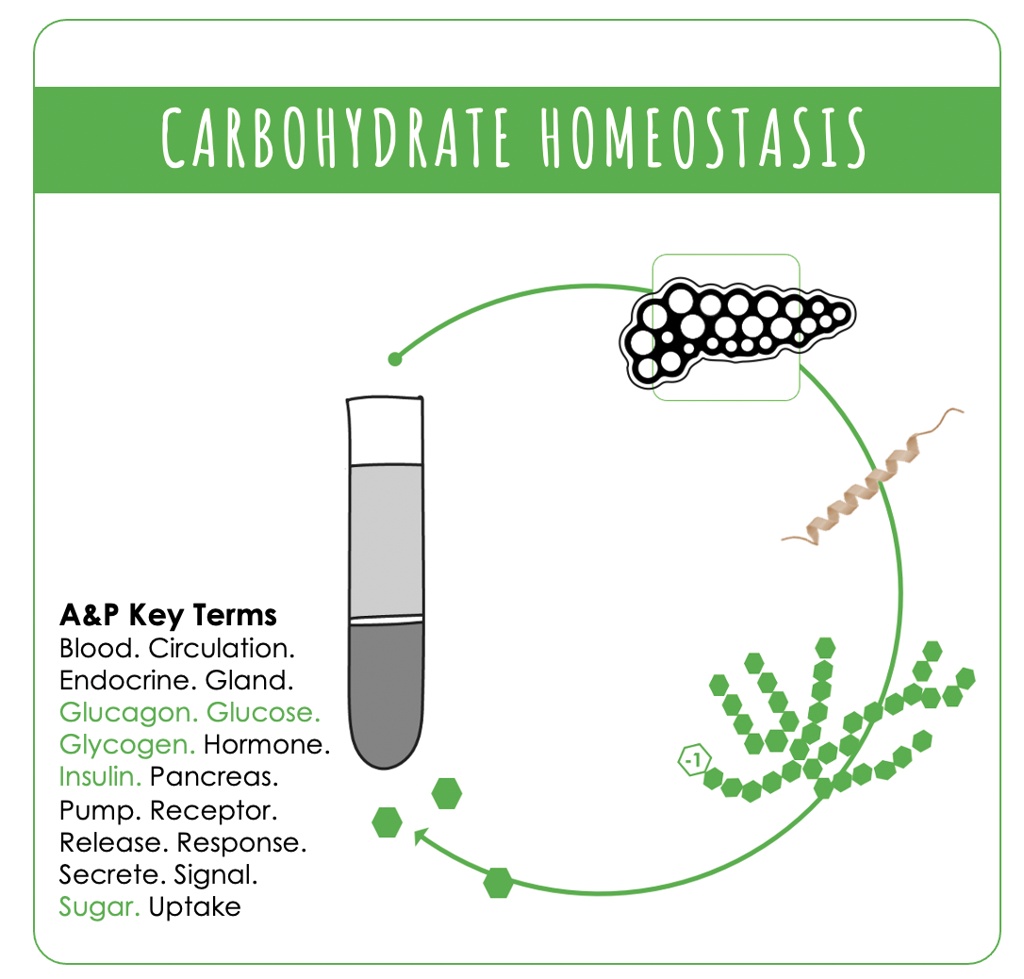 texts label the attached graphic shell with ten or more of the provided ...