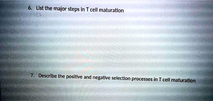 SOLVED: List the major steps in T cell maturation Describe the positive ...