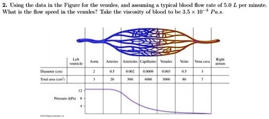 SOLVED: Using the data in the Figure for the venules, and assuming a ...
