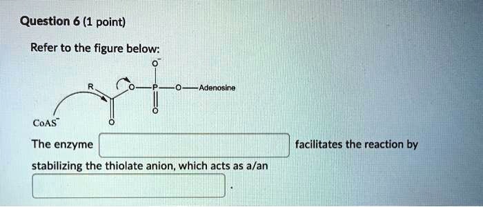 SOLVED: Refer to the figure below: Adenosine CoA-SH The enzyme ...