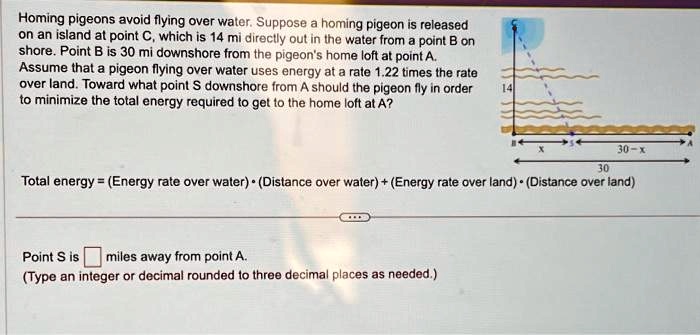 SOLVED: Texts: Homing pigeons avoid flying over water. Suppose a homing ...