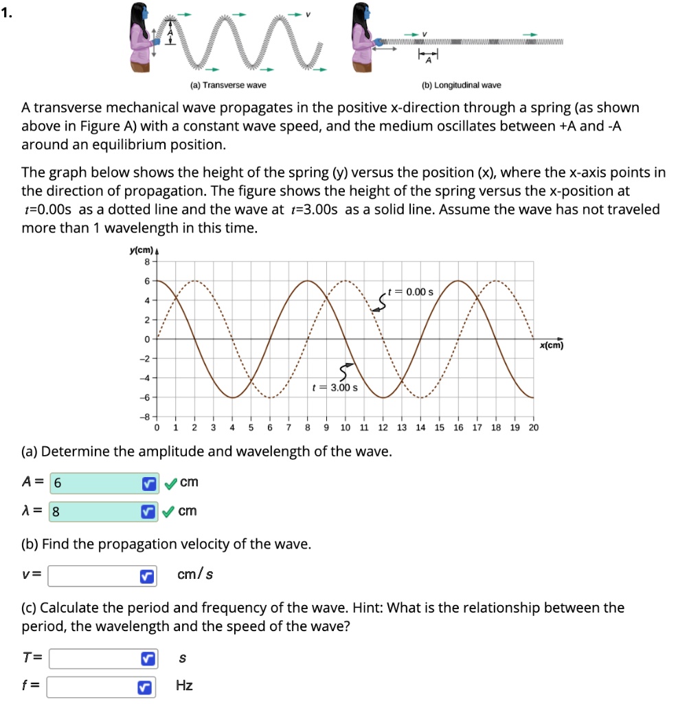 (a) Transverse wave (b) Longitudinal wave A transverse mechanical wave ...