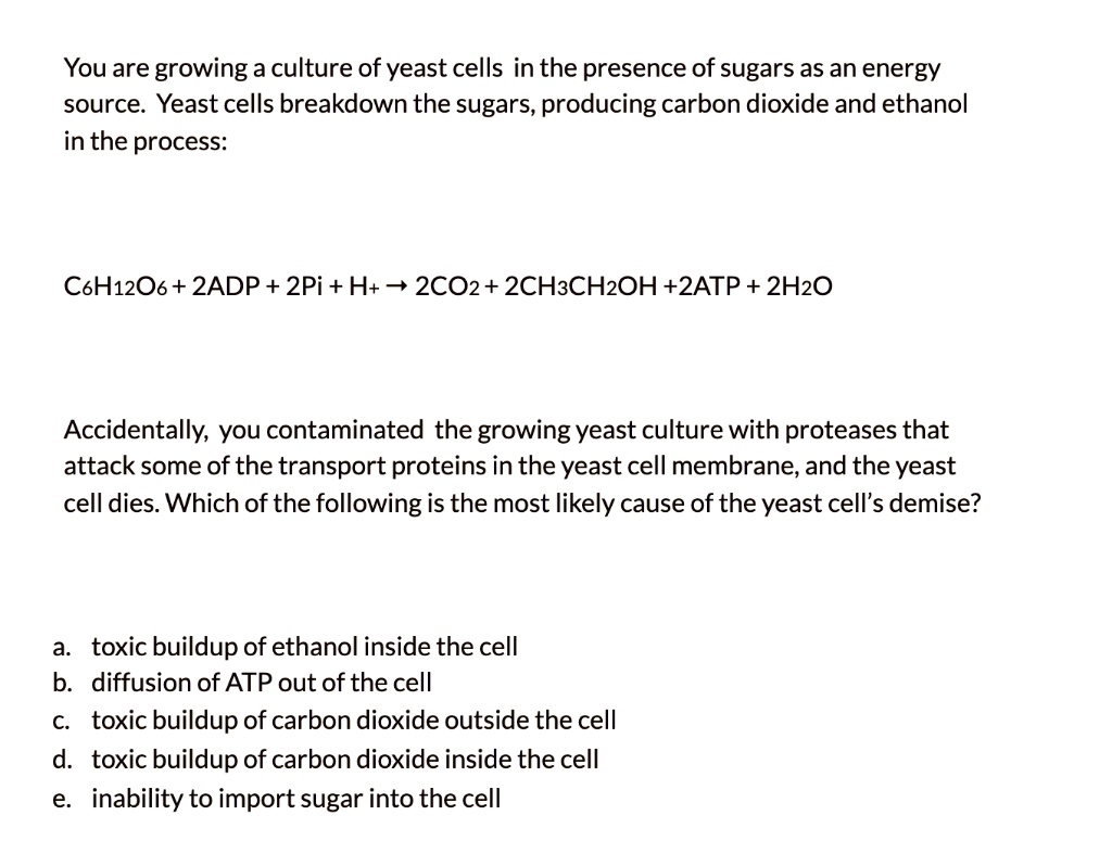 SOLVED: You are growing a culture of yeast cells in the presence of ...